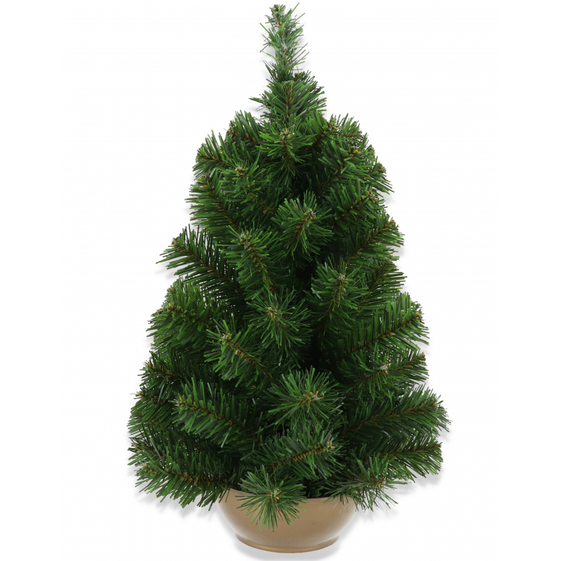 Choinka średnia CHO SREDNIA Choinka średnia